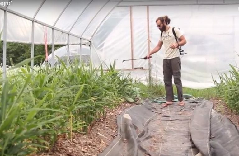 Recipe for Success: Brew Your Own Biofertilizer - Cornell Small Farms