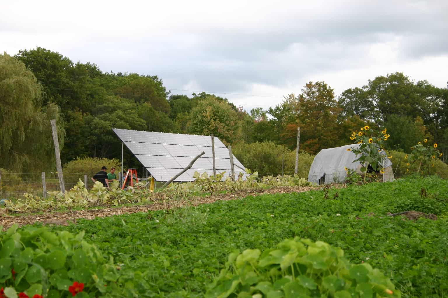 Cross Island Farm - Cornell Small Farms