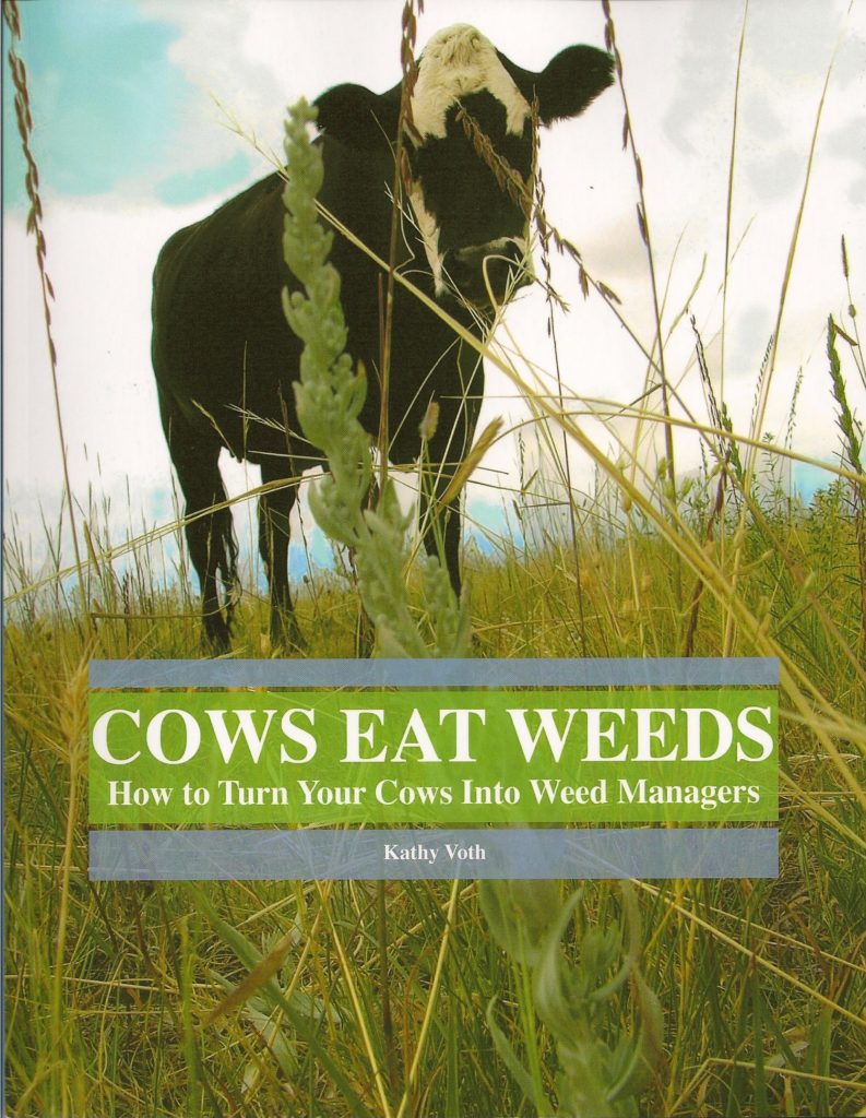 Yes, Cows Eat Weeds! - Cornell Small Farms