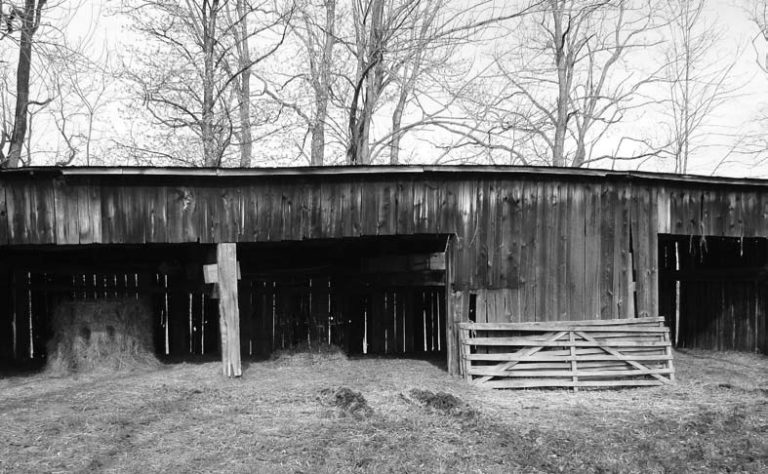 How to Get Started with Sheep - Cornell Small Farms