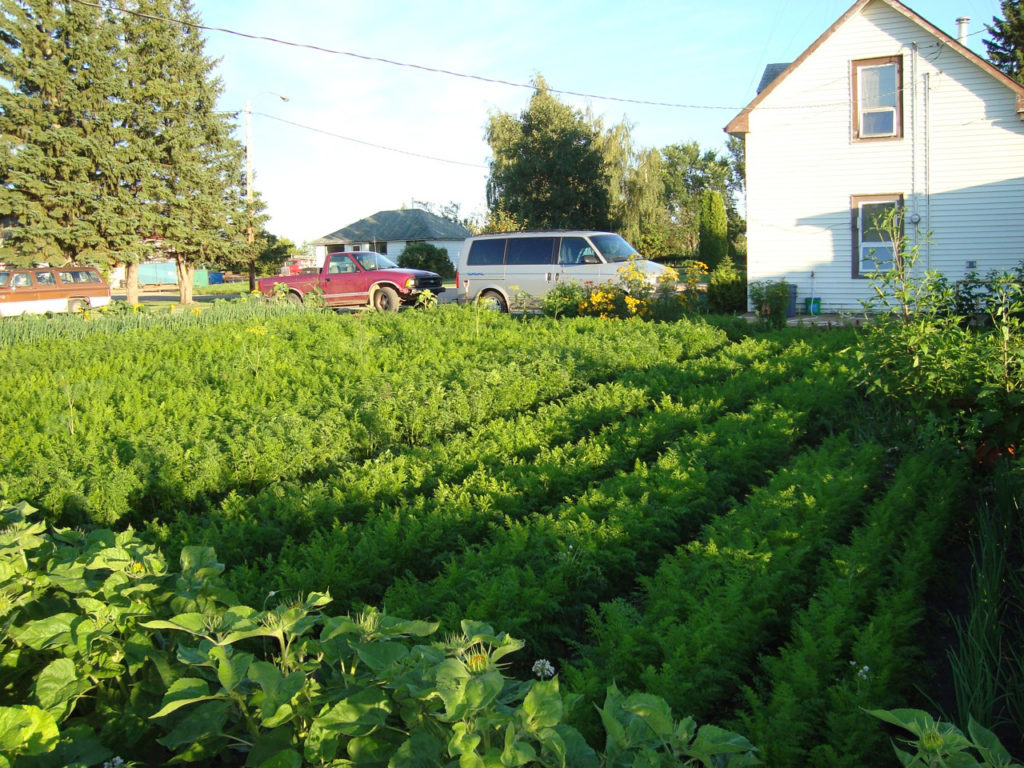 Get Started With Spin Farming - Cornell Small Farms