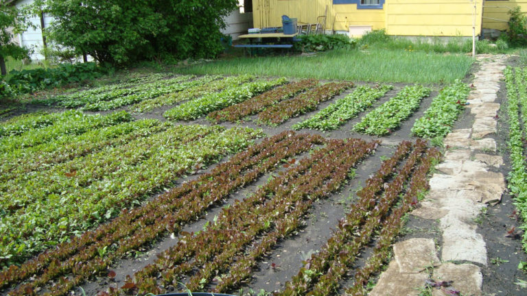 Get Started With Spin Farming - Cornell Small Farms