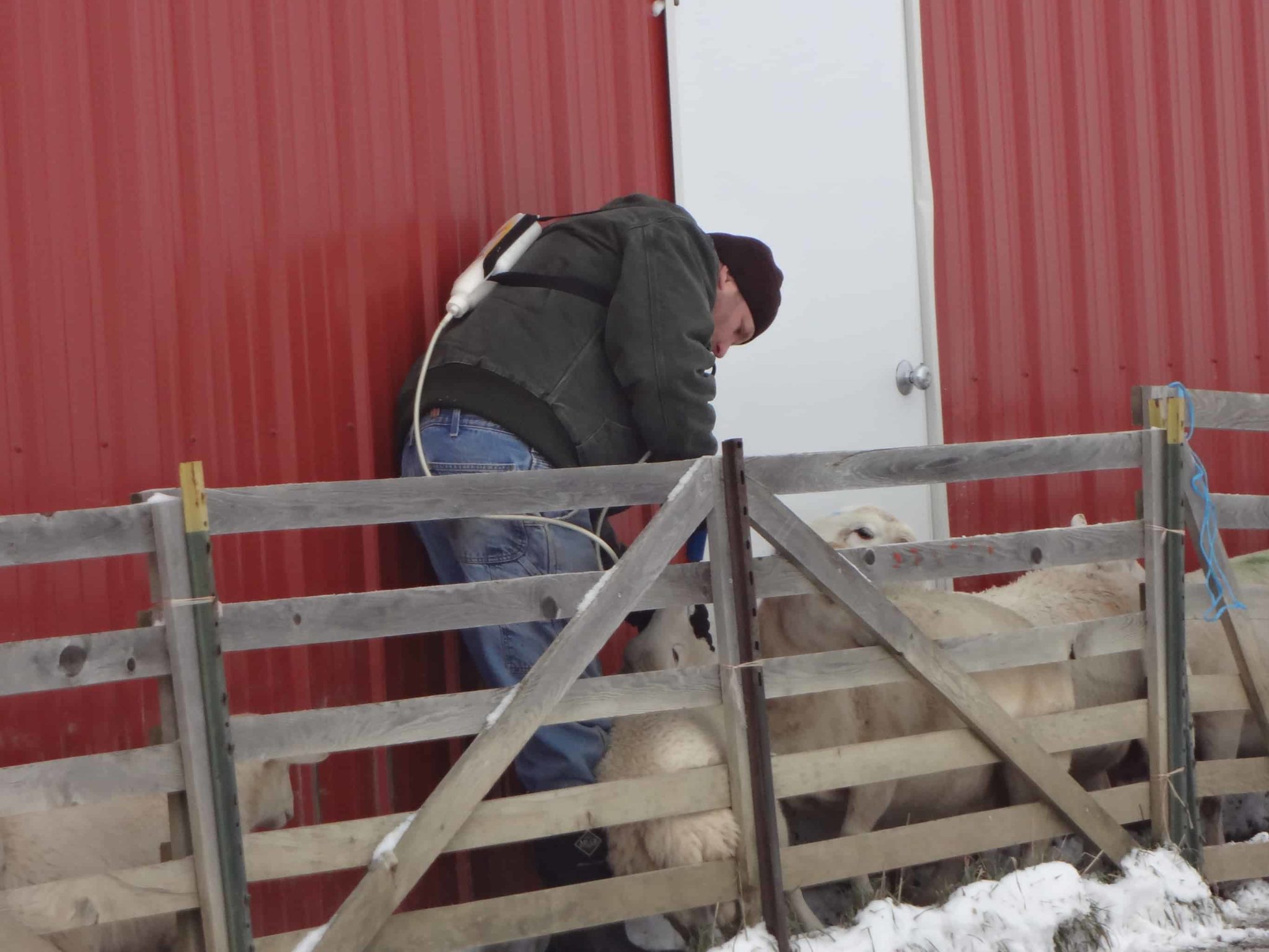 The Chute - Cornell Small Farms