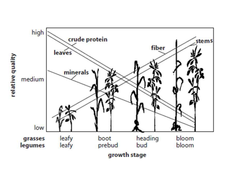 The Value of Increasing Pasture Numbers - Cornell Small Farms