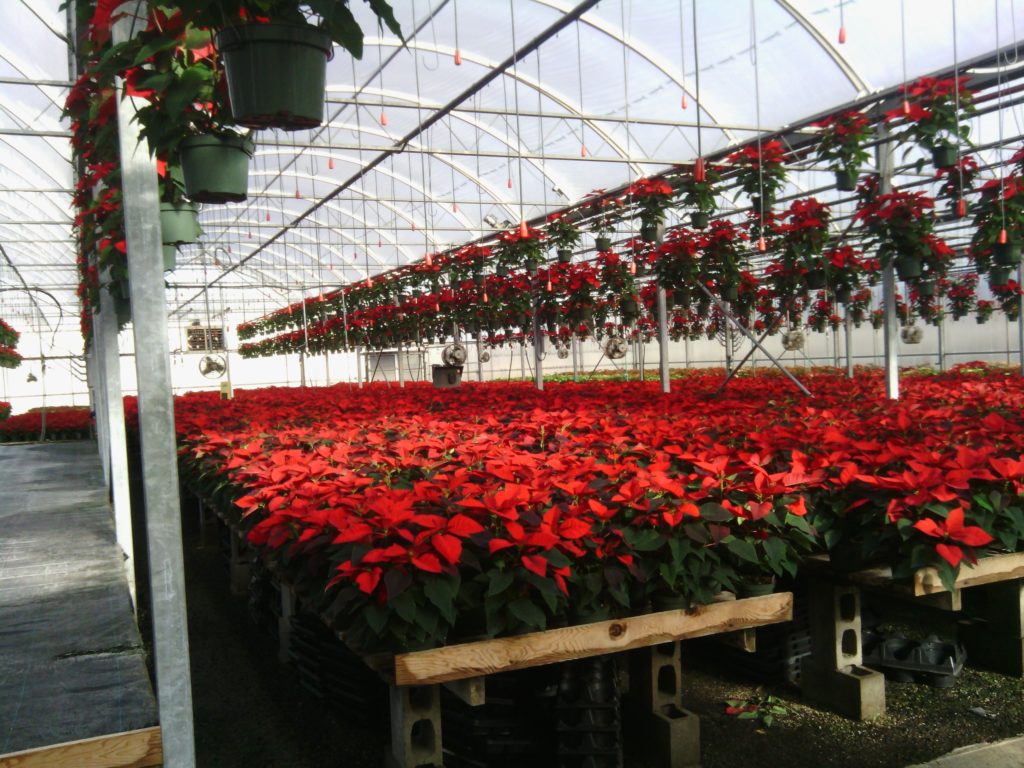 Grounded: Military Veterans Turn to Farming - Cornell Small Farms