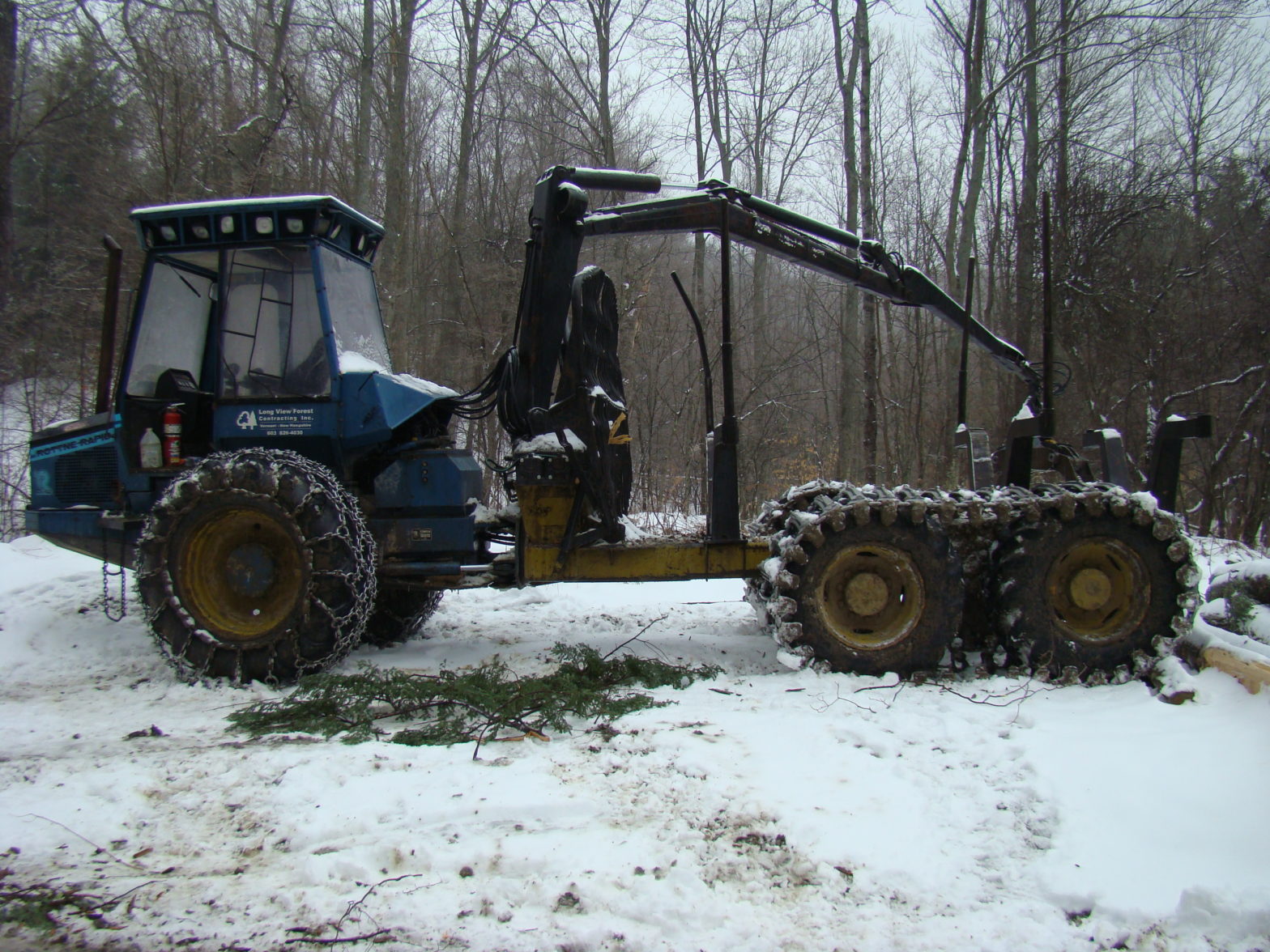 Financial Implications of Selling Timber - Cornell Small Farms