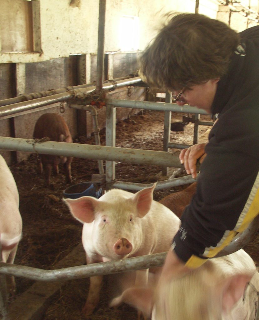 Pig Production Grows Quickly - Cornell Small Farms