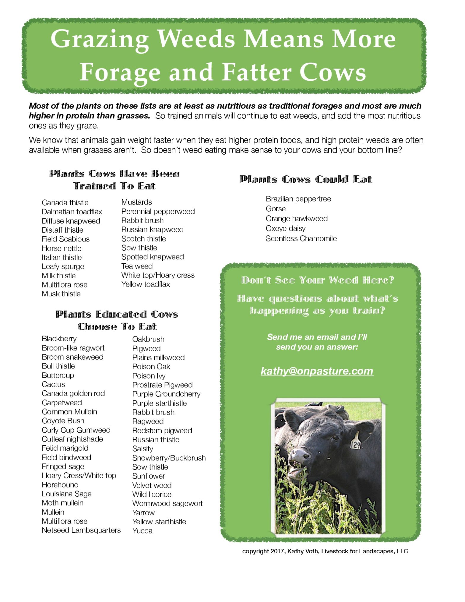 When Livestock Eat Weeds You Have 43% More Forage* - Cornell Small Farms