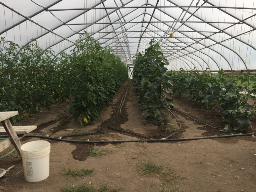 A Farmer’s Perspective – Long Term Soil Health and Fertility in a High ...