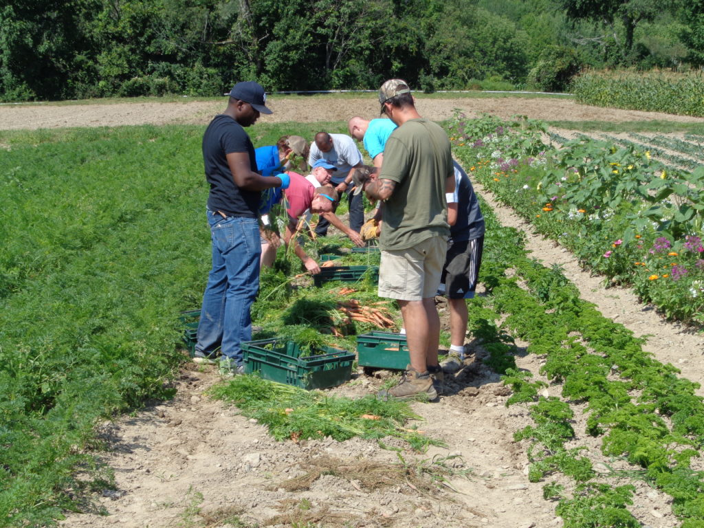 Farm Ops Veterans are Armed to Farm - Cornell Small Farms