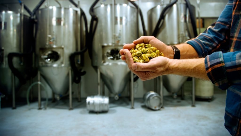 Frequently Asked Questions when Starting Up a Hop Farm in New York ...