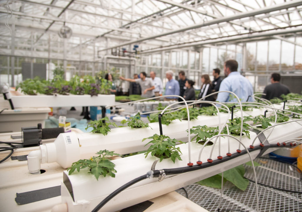 Cornell Group Explores Future of Indoor Farming - Cornell Small Farms