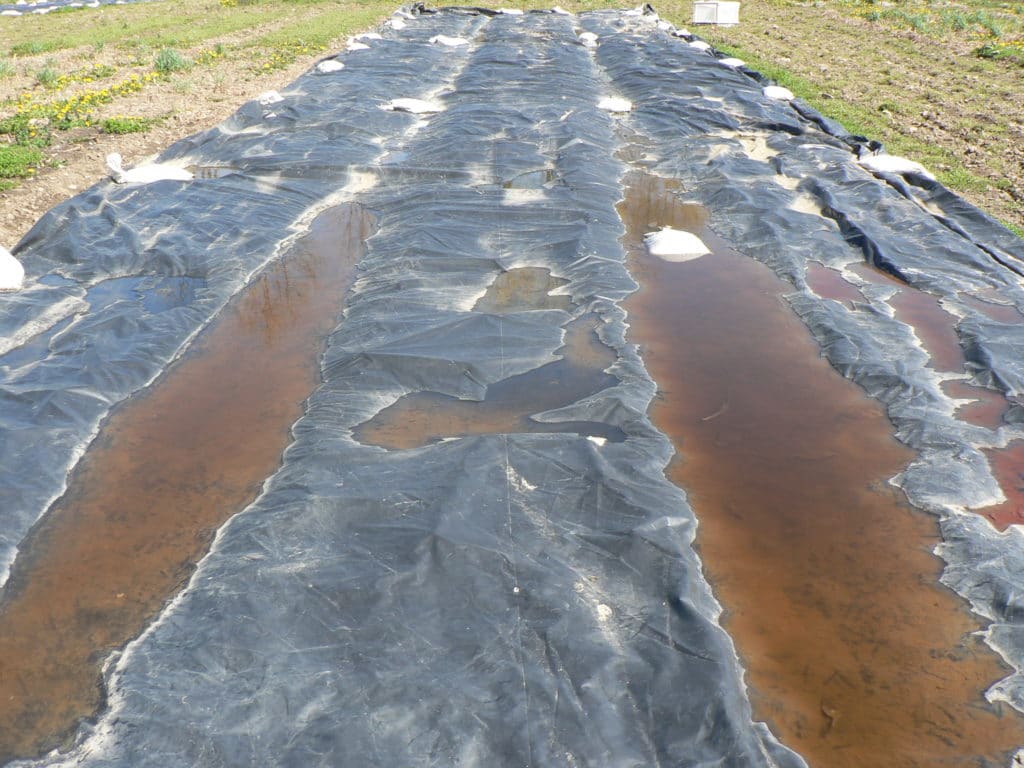 Take Me Out to a Tarped Field - Cornell Small Farms