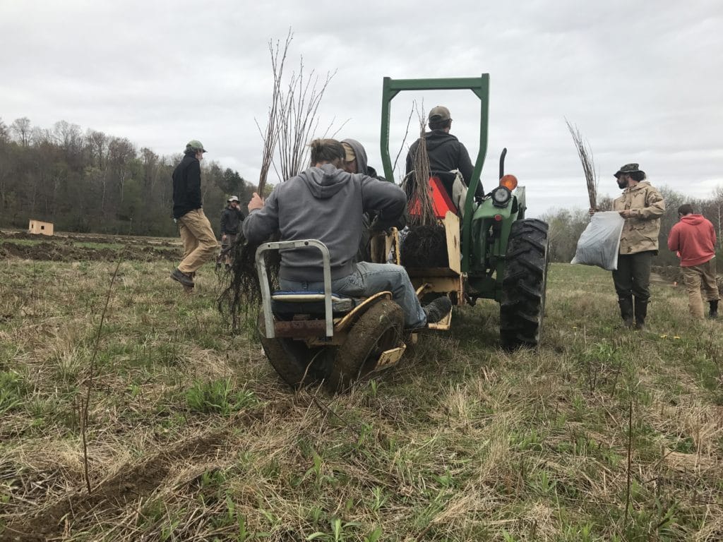 Nuts for Nuts: Seeding a Nut Industry in the Northeast - Cornell Small ...