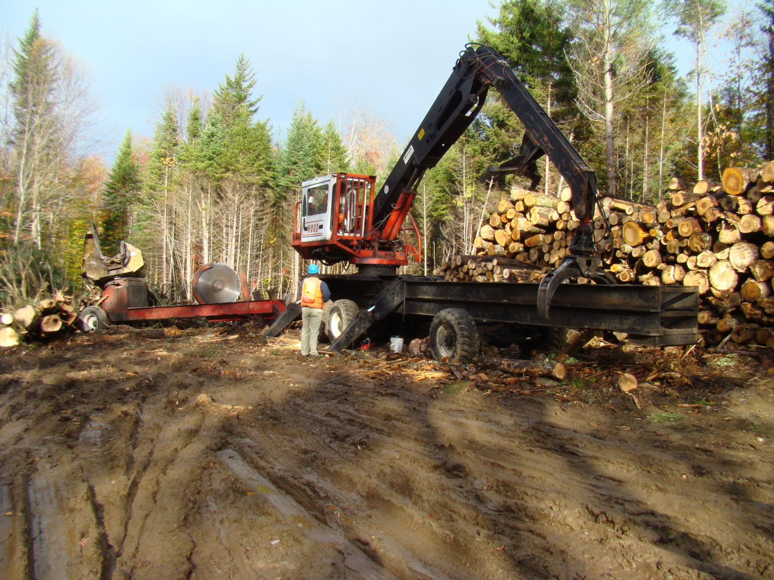 Managing Small Woodlot Parcels - Cornell Small Farms