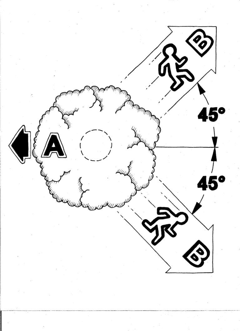 Chainsaw Safety, Part 5: Tree Felling - Cornell Small Farms