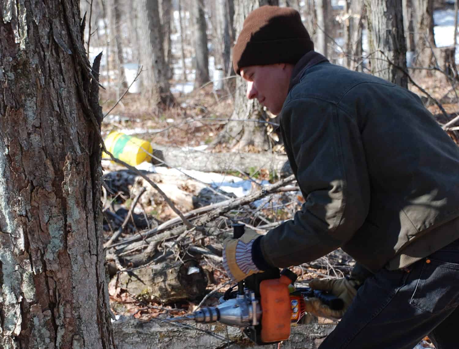 Maple and Birch Tapping Research Responds to Variable Climate - Cornell ...
