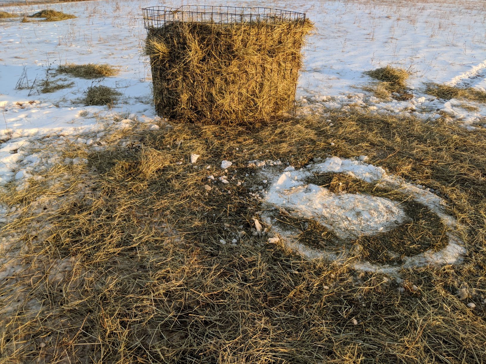 Save Money with DIY Hay Feeders - Cornell Small Farms