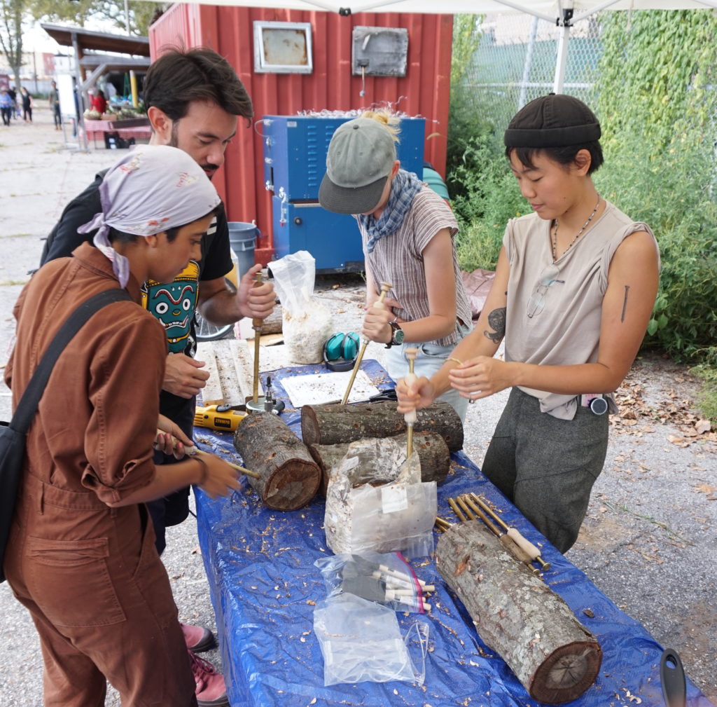 Community Mushroom Educator Program - Cornell Small Farms