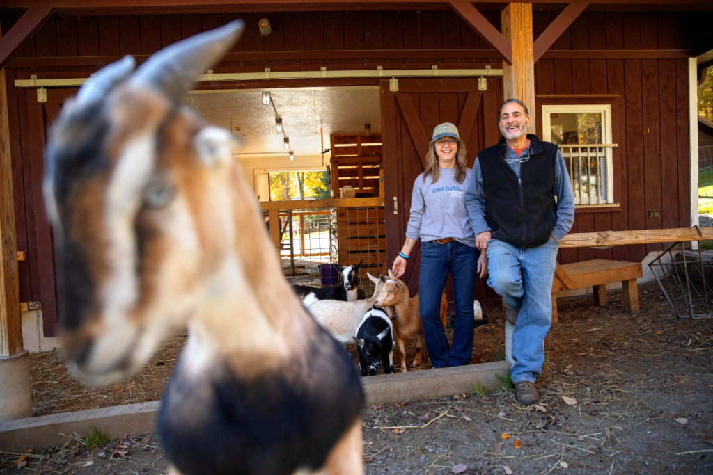 CCE connects local farms, foodies through Taste NY - Cornell Small Farms