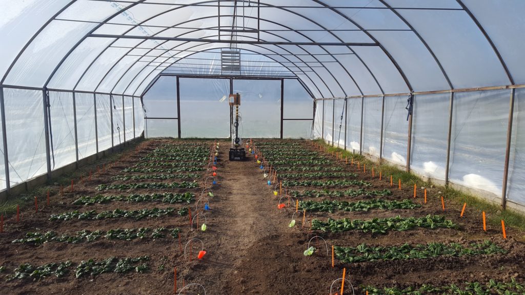 High Tunnel Research Increases Profits for NY Growers - Cornell Small Farms
