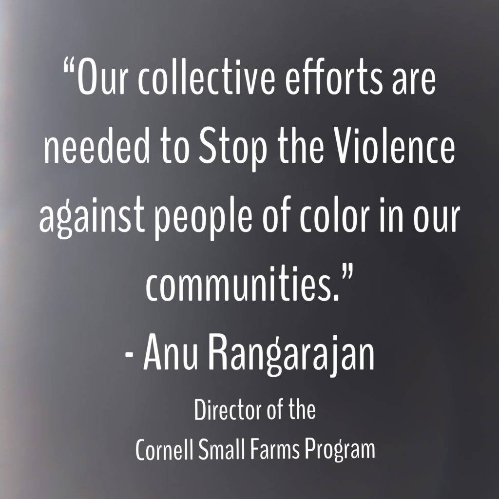 A Letter from Our Director: Building Resilience through Racial Justice ...