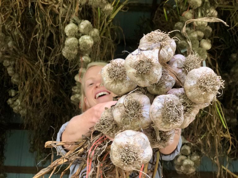 Secrets of Storing Garlic - Cornell Small Farms