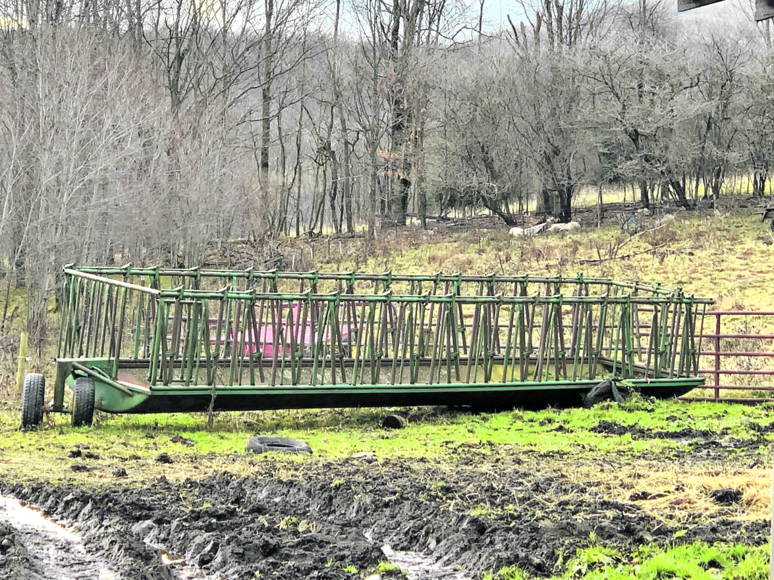 Beef Handling and Feeding Equipment Considerations - Cornell Small Farms