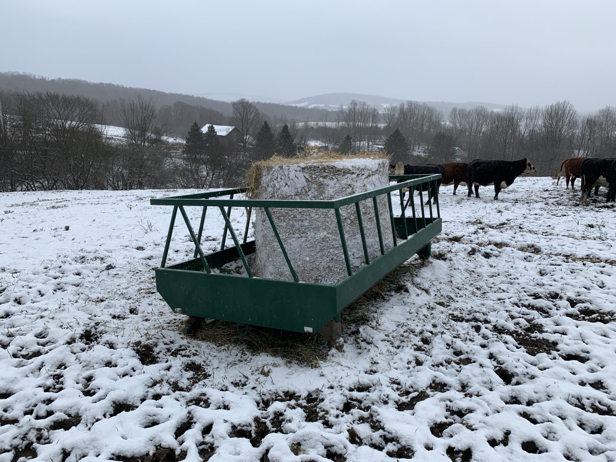 Do the Math for Winter Feed Preparation - Cornell Small Farms