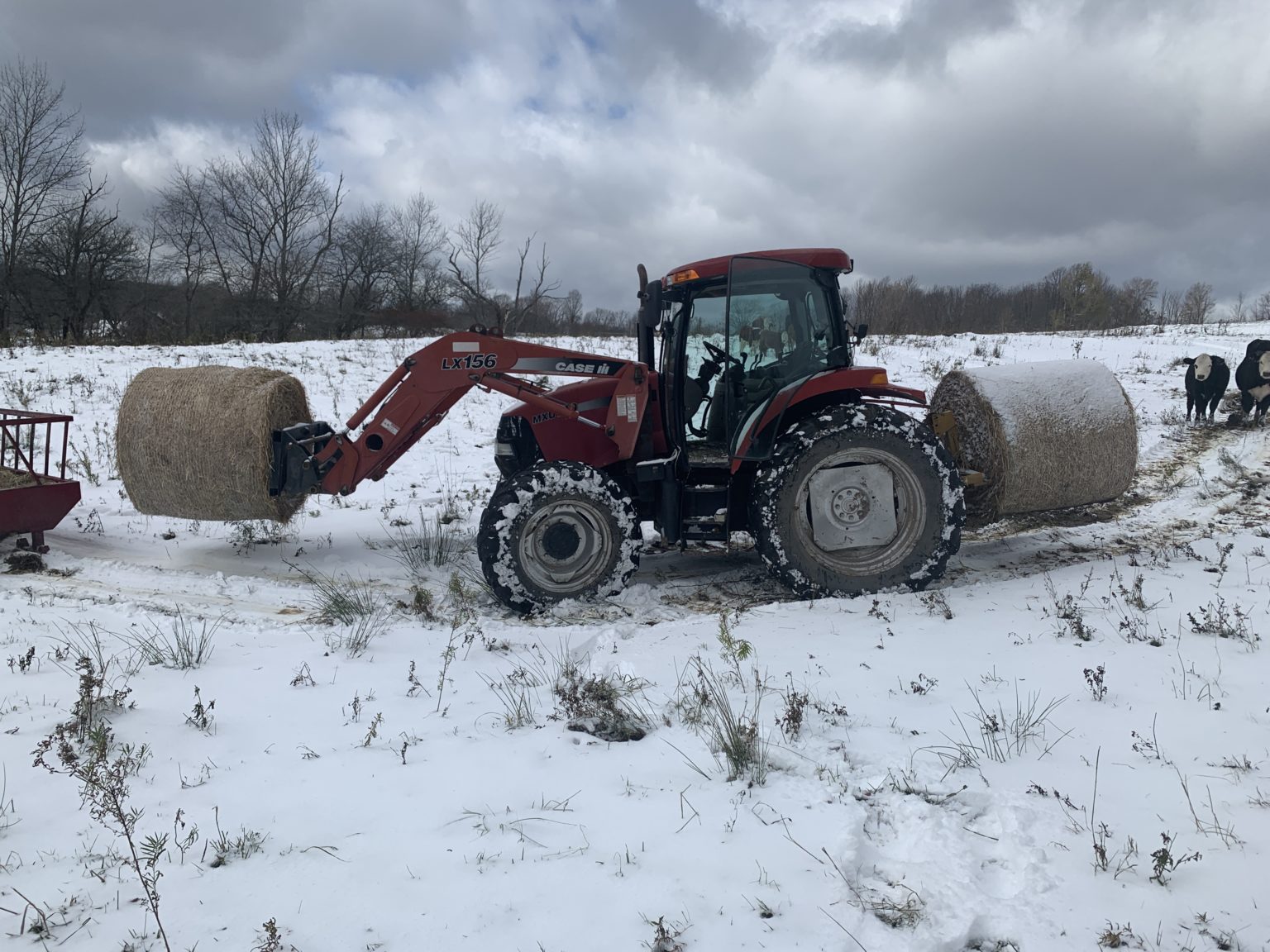 Do the Math for Winter Feed Preparation - Cornell Small Farms