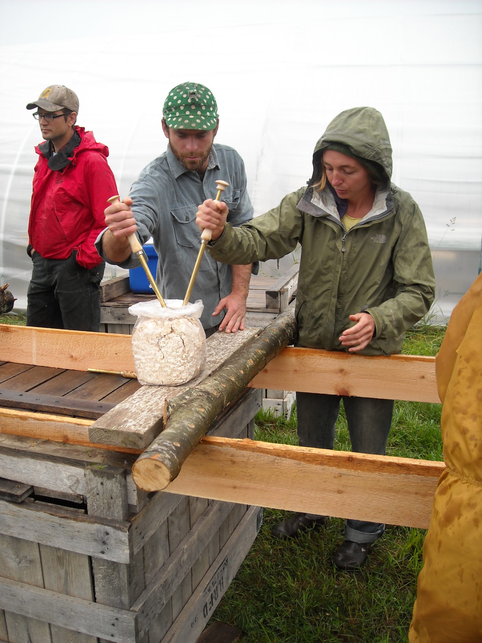 Inoculating Logs - Cornell Small Farms