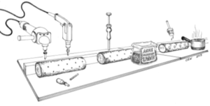 Inoculating Logs - Cornell Small Farms
