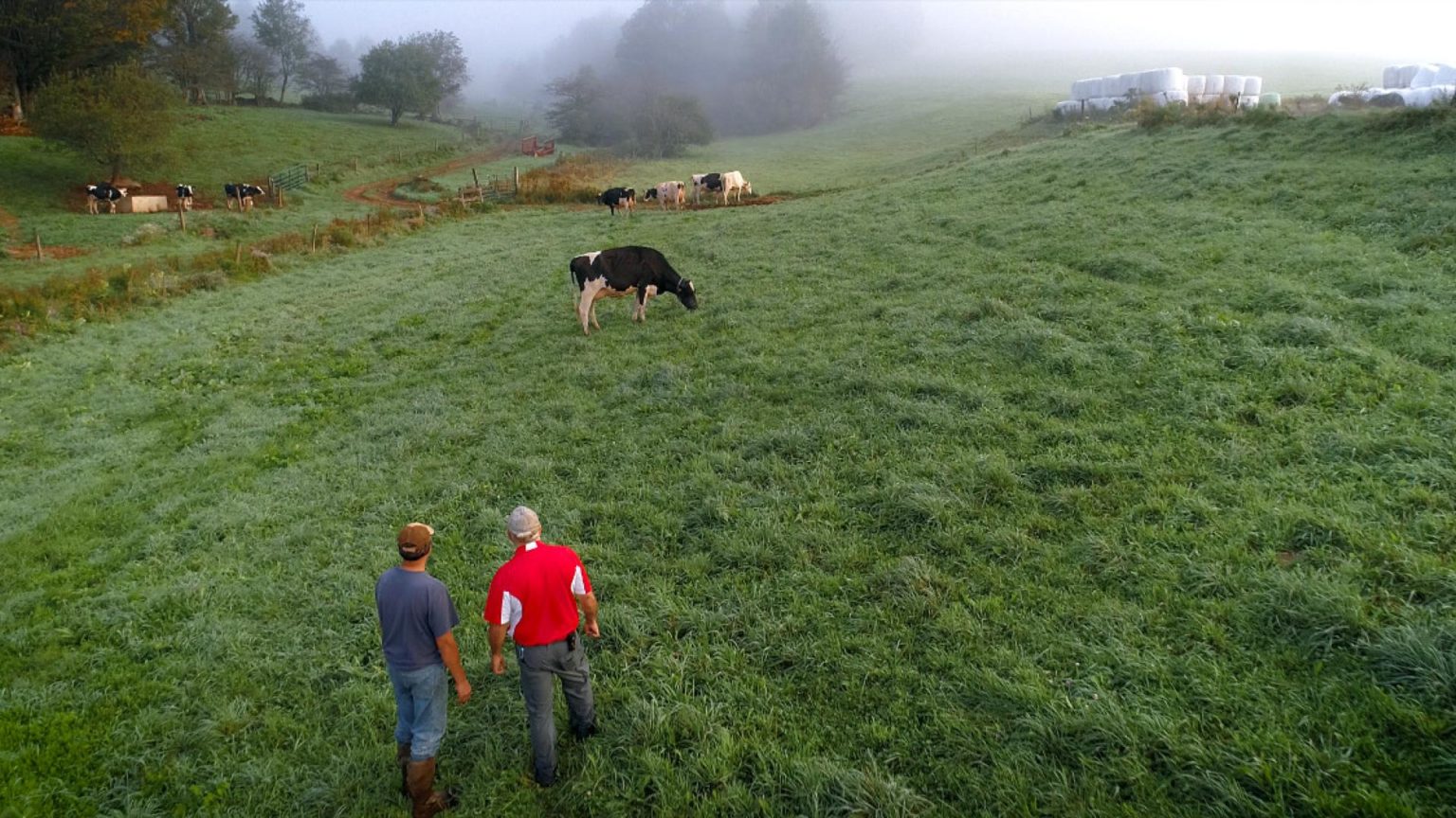 The Slow and Furtive Nature of Pasture Soil Compaction: Project ...