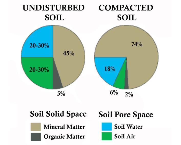 The Slow and Furtive Nature of Pasture Soil Compaction: Project ...