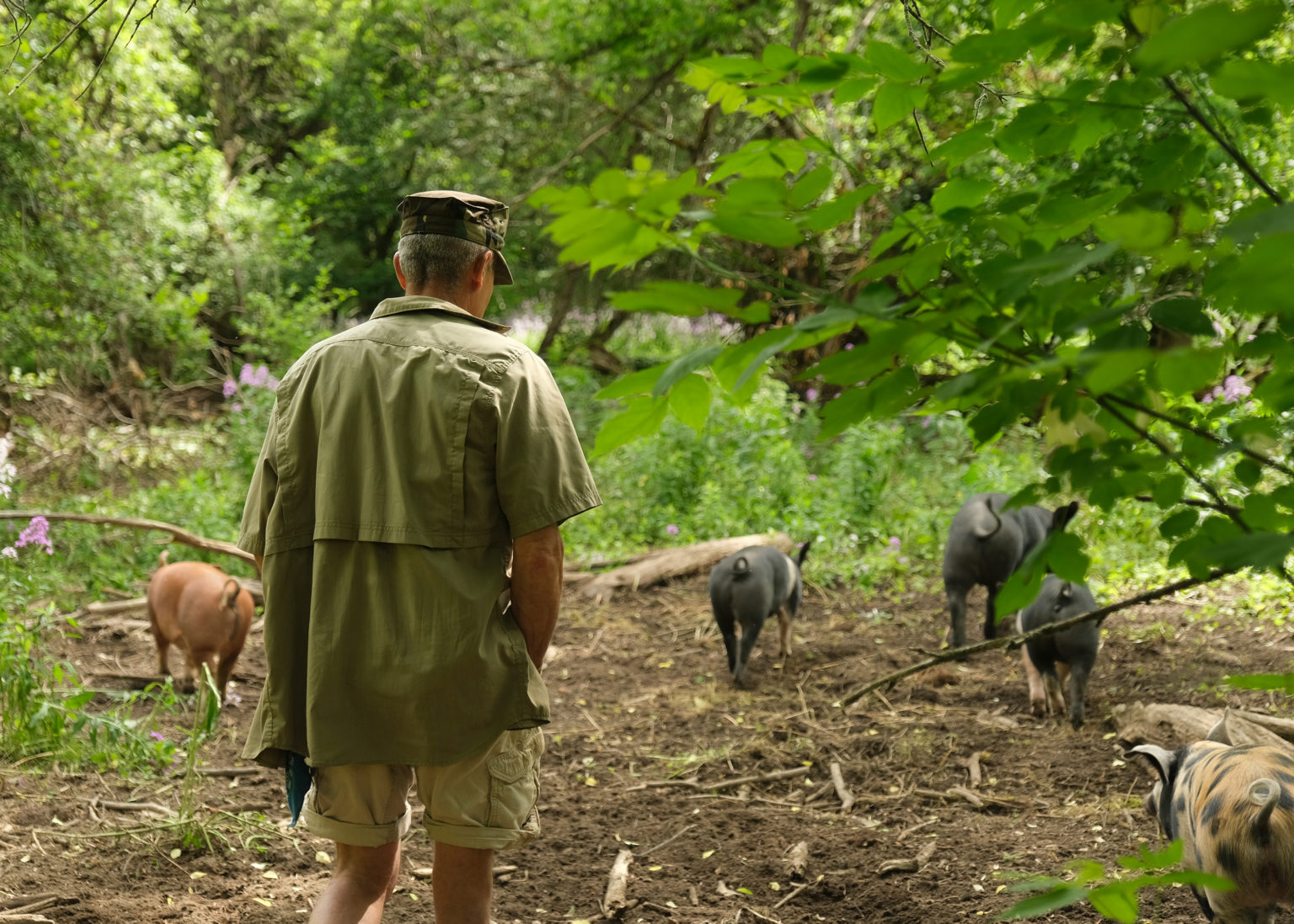 Farm Ops’ Cohort Learning Sessions Bring Veterans Together to Talk Ag ...