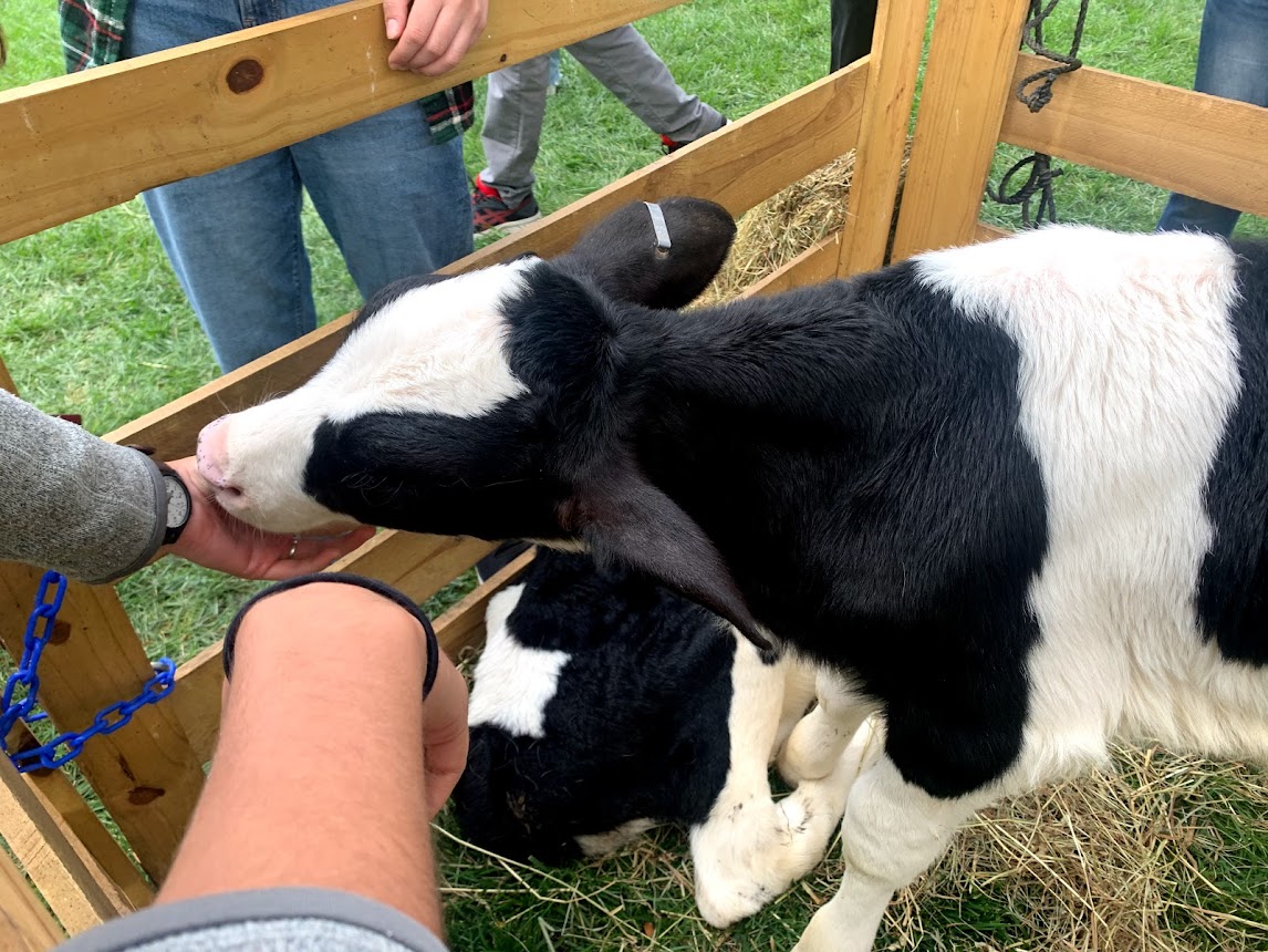 8 Things to Think About - Farm Diversification and Enterprise Analysis ...