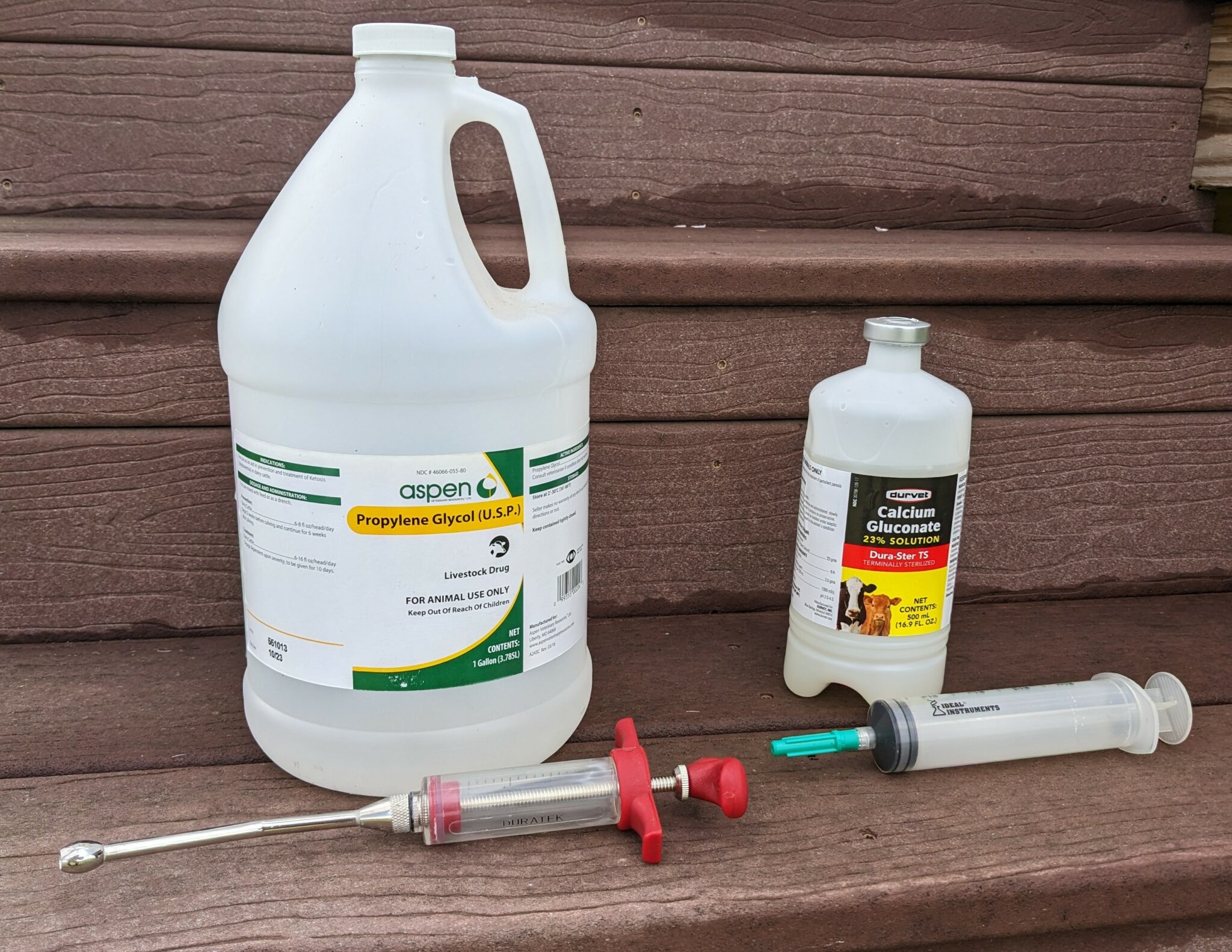 Hypocalcemia versus Pregnancy Toxemia in Sheep - Cornell Small Farms