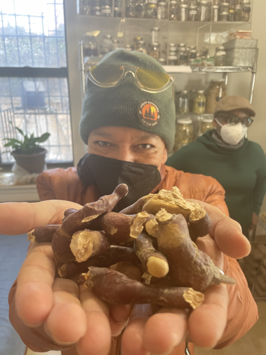 Growing Together: Kelly Street Garden’s Community-Centered Approach to ...