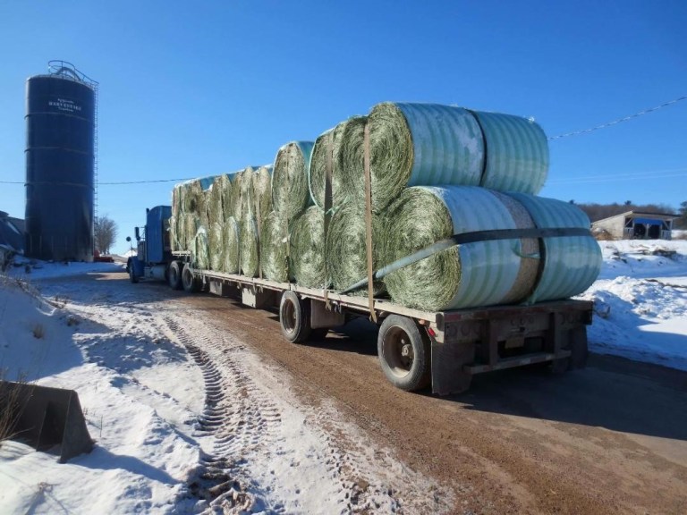 How Much Hay Do I Need for Winter? - Cornell Small Farms