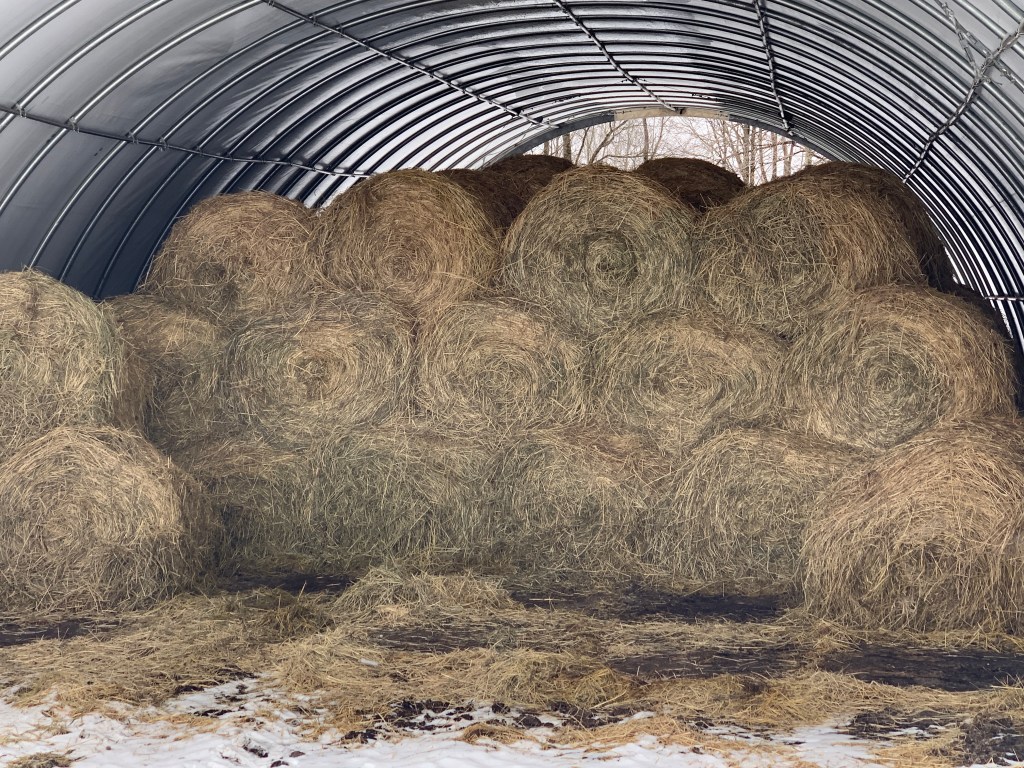 How Much Hay Do I Need for Winter? - Cornell Small Farms