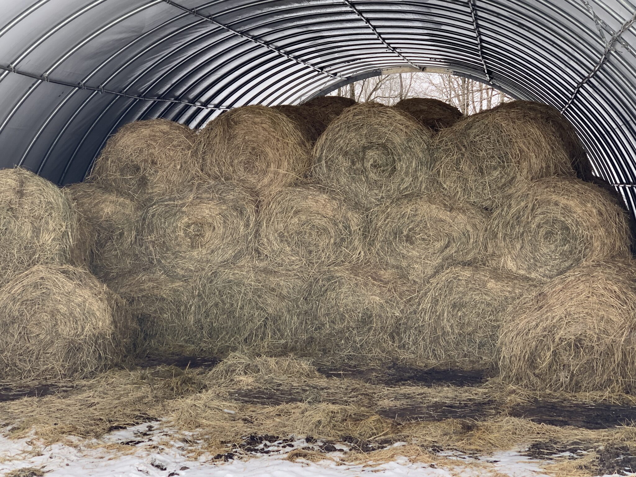 How Much Hay Do I Need for Winter? - Cornell Small Farms