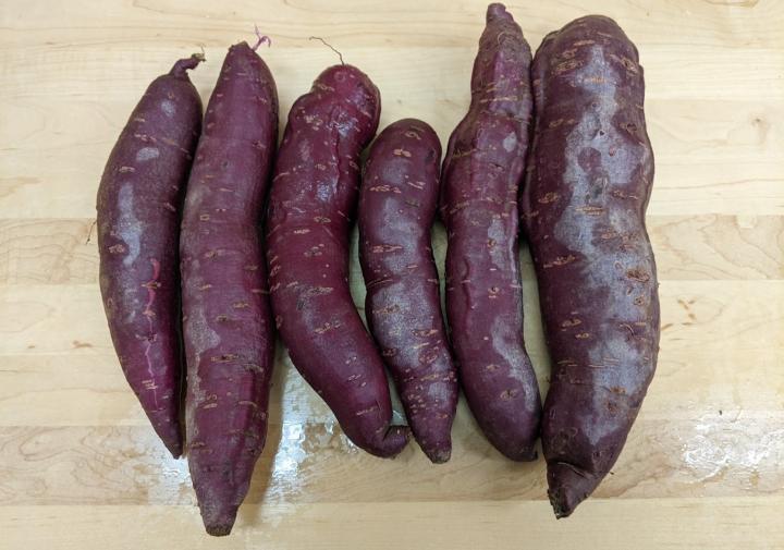 A Cornucopia of Research Supports New York’s Farms and Food Systems ...