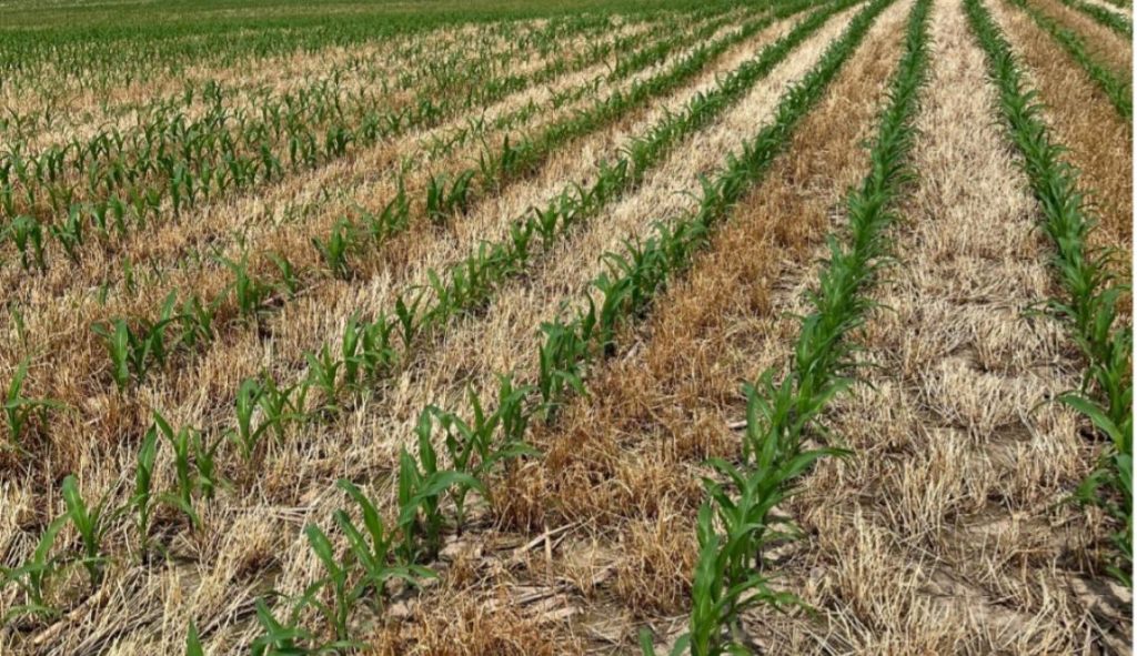 Challenges and Progress in Water Quality - Cornell Small Farms