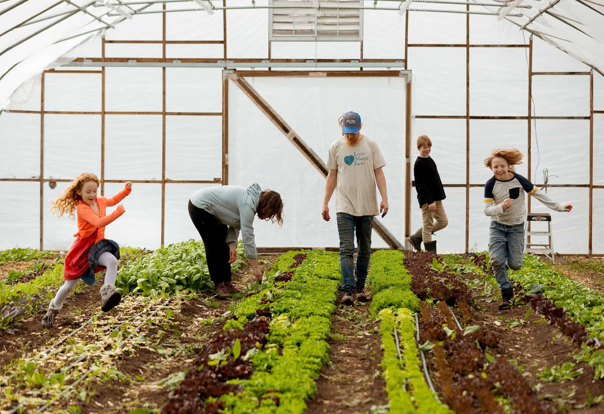 No-till in Practice: Four Years’ Experience at Lovin’ Mama Farm ...