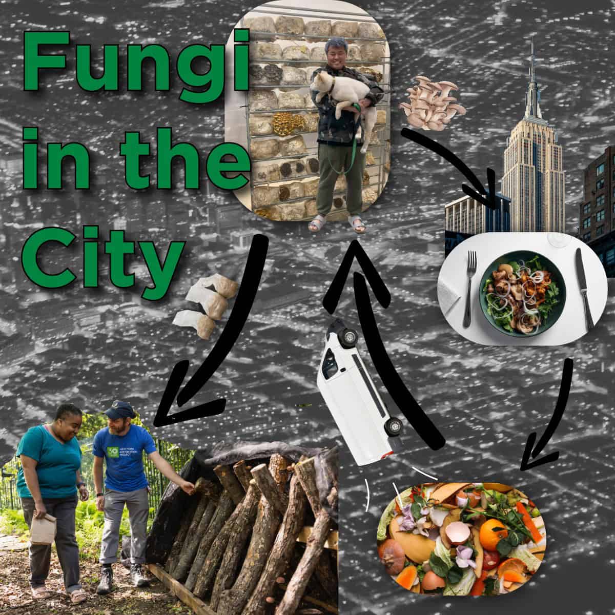 Fungi in the City: Small Farms Radio Talks Urban Mushroom Life Cycle ...